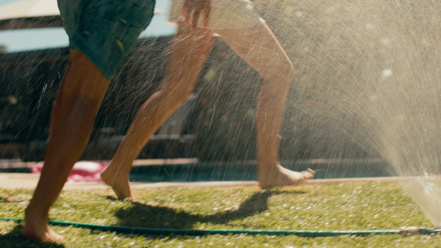 The Water Foundation: For People, For Nature, For Our Future
